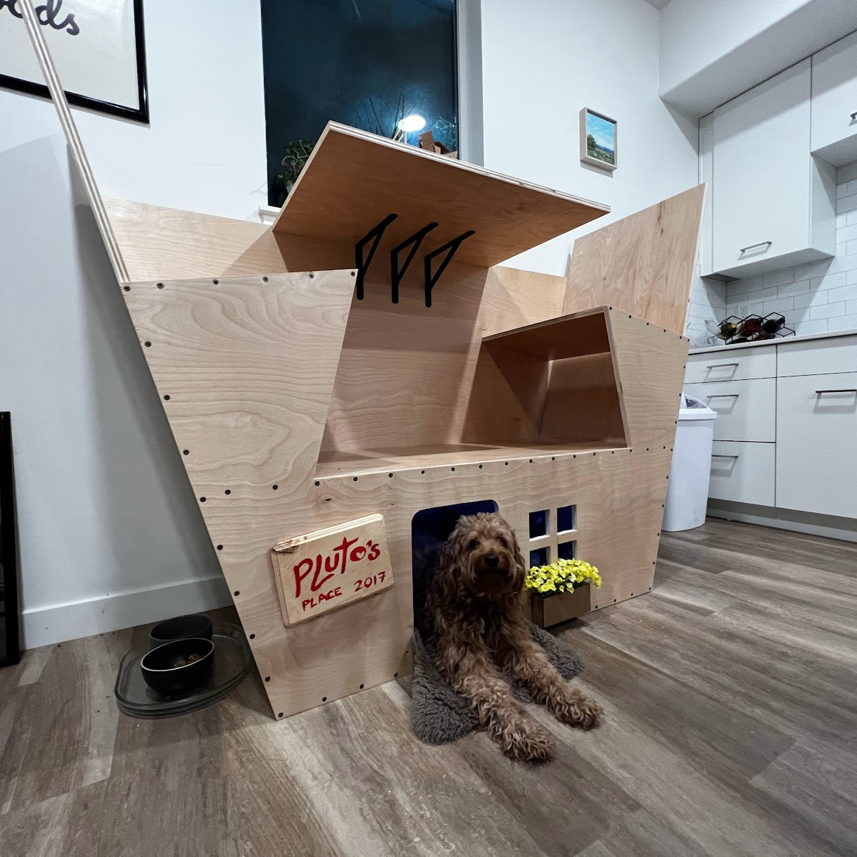 Collections – Riley Adamson